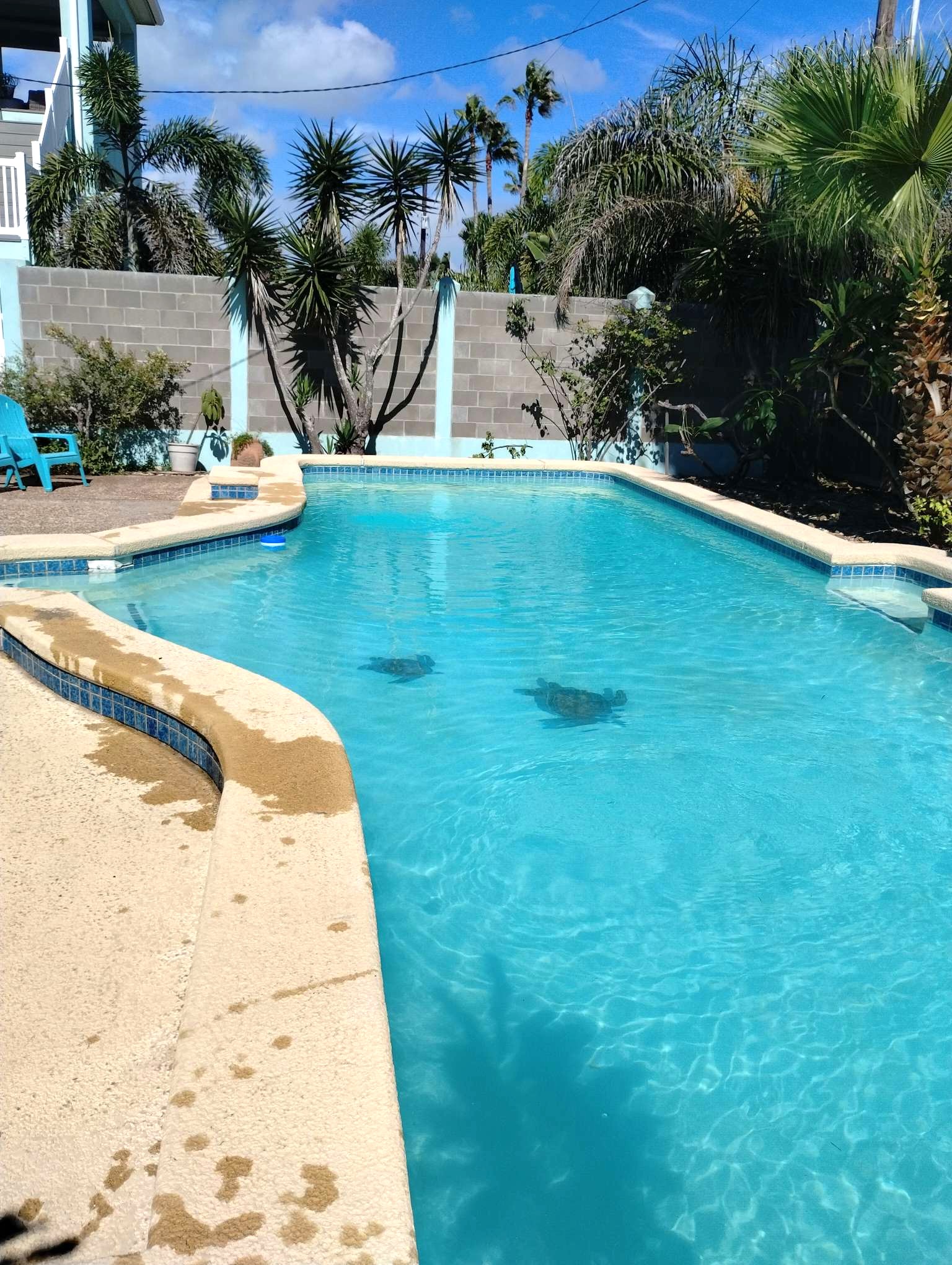 Stunning Gulf Views And Spacious Balcony - Exquisite Beach Escape - South Padre Island