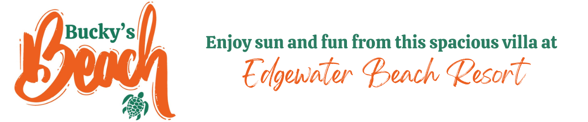 Enjoy Sun and Fun at Bucky's Beach