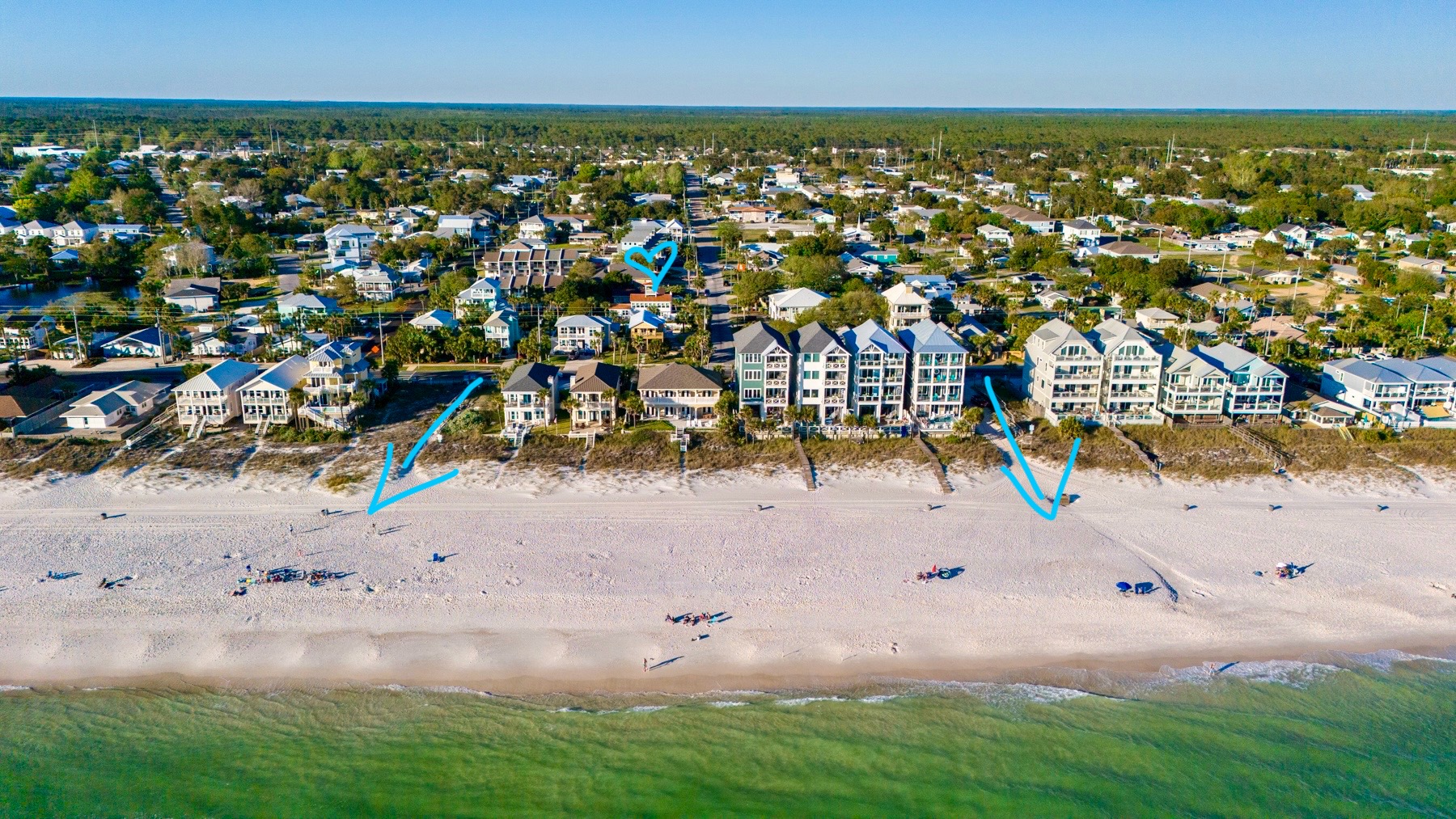 Nautical Rose - Nautical Rose