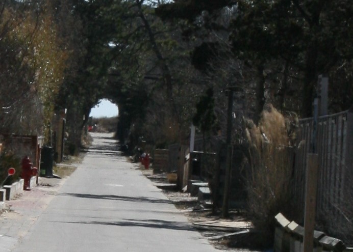 Firefly Haven - Firefly Haven