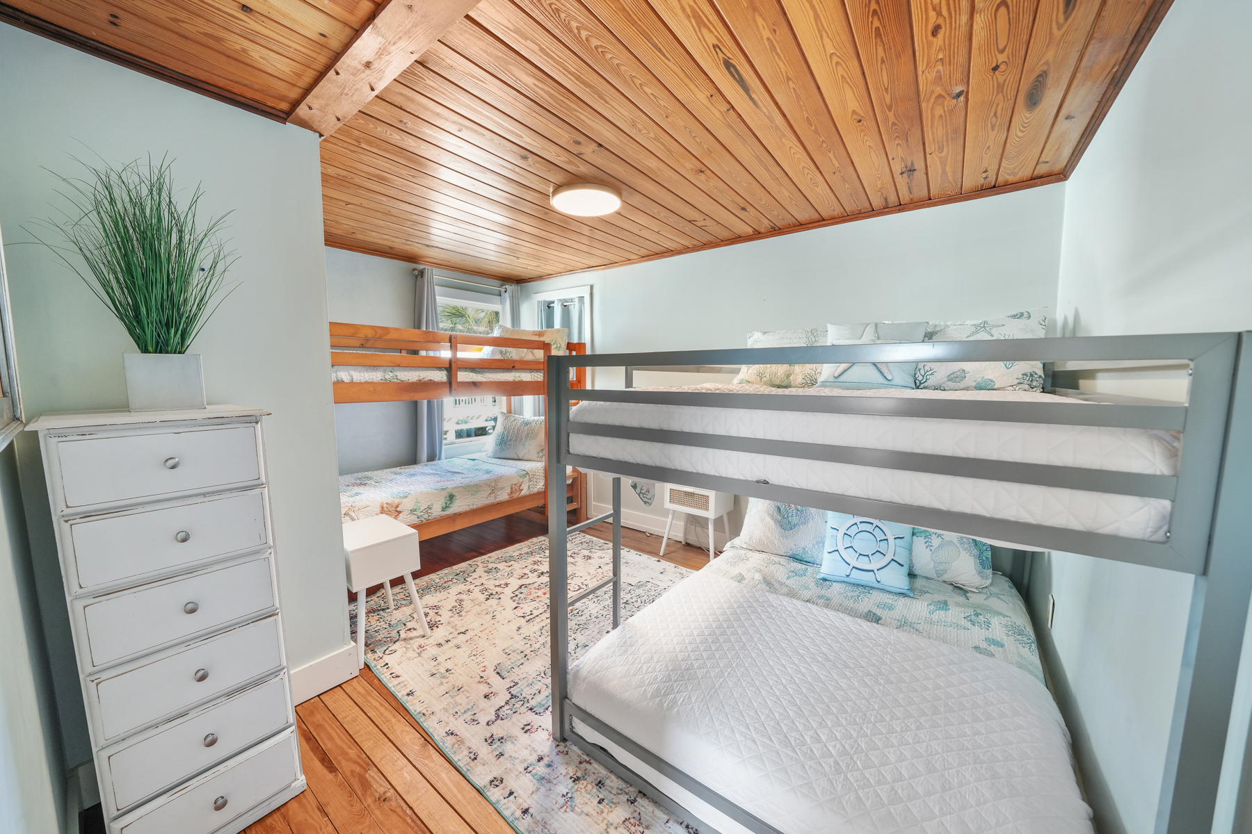 Nautical Rose - Nautical Rose