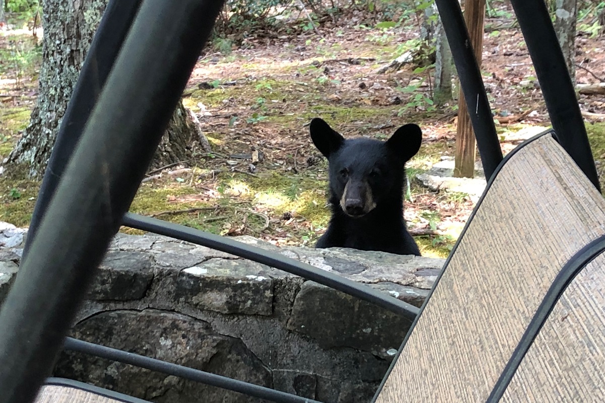 Bear Corner Chalet Gatlinburg TN - Cabins By Joy