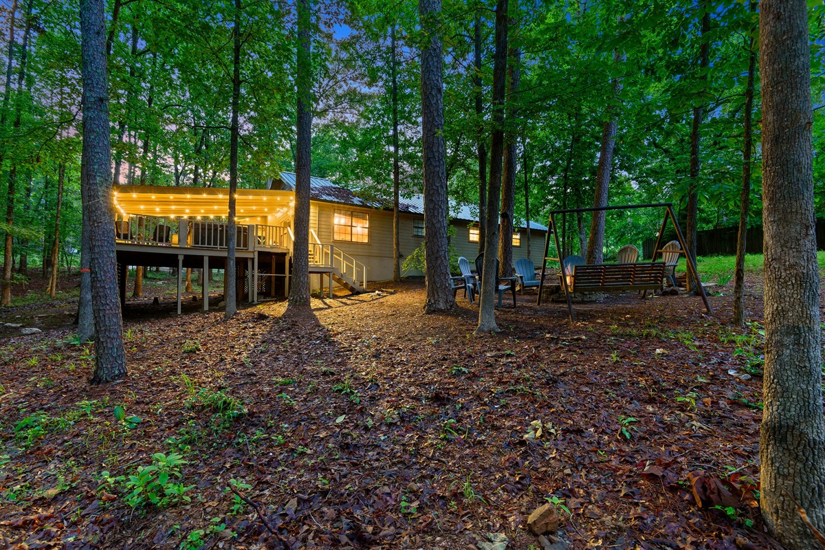 Lone Swan - The Bear Cabins