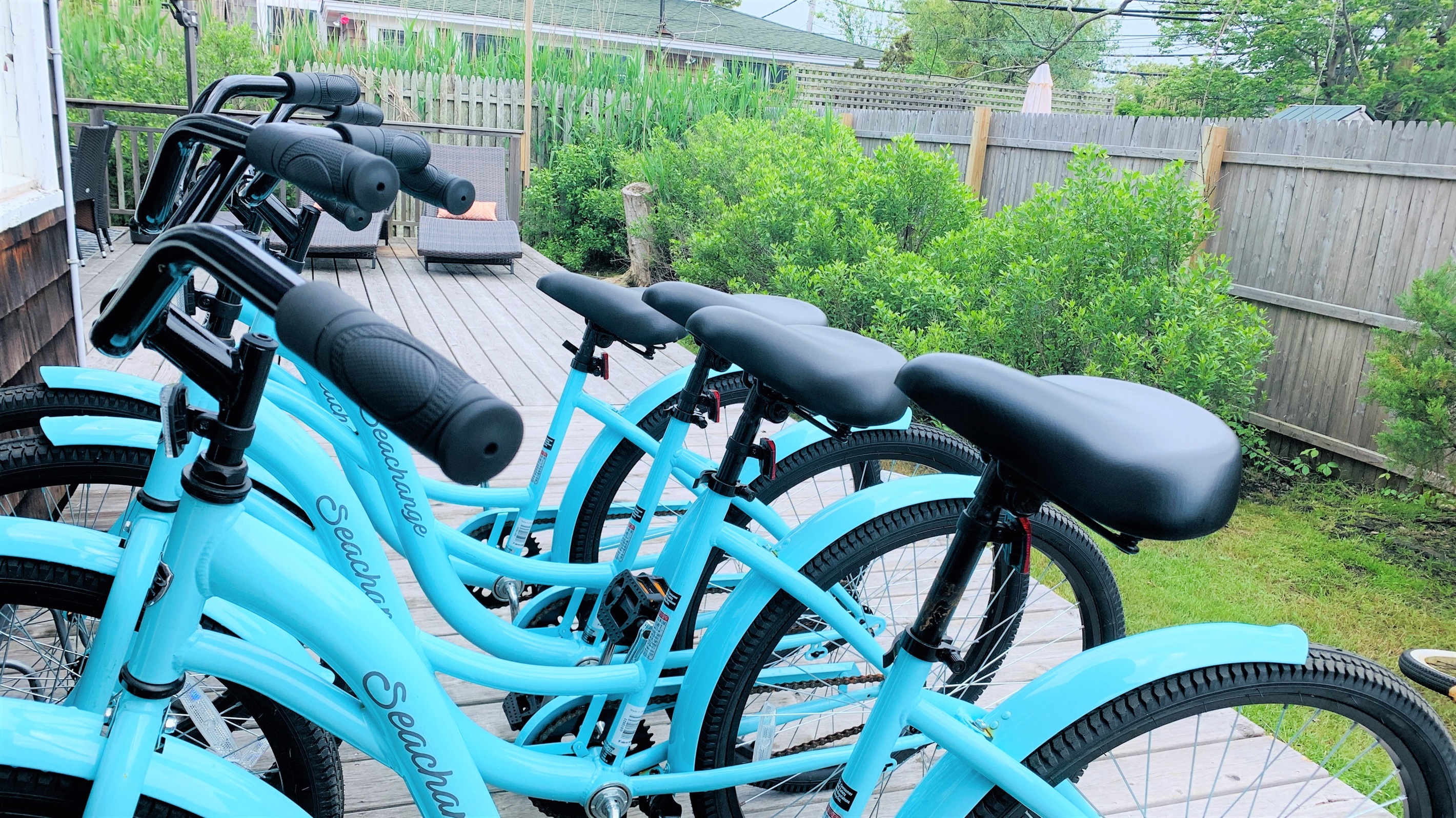 Firefly Haven - Firefly Haven