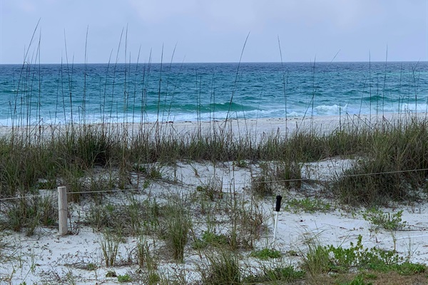 Tidewater Beach Resort - PCB Beachfront Condos