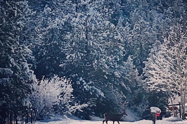 Miller Rock at Raymond Store Cabins - Raymond Store Cabins