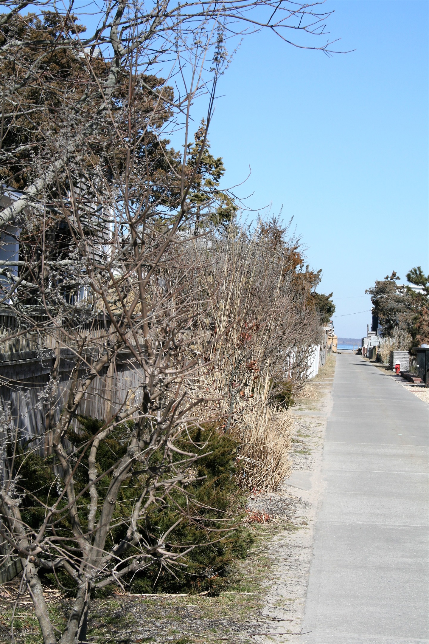 Firefly Haven - Firefly Haven