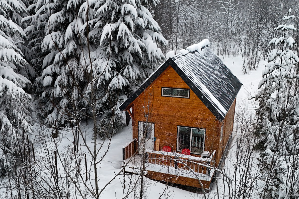 Tundra Lodge: Revelstoke's Cozy Modern Mountain Cabin - Alpha Mountain ...