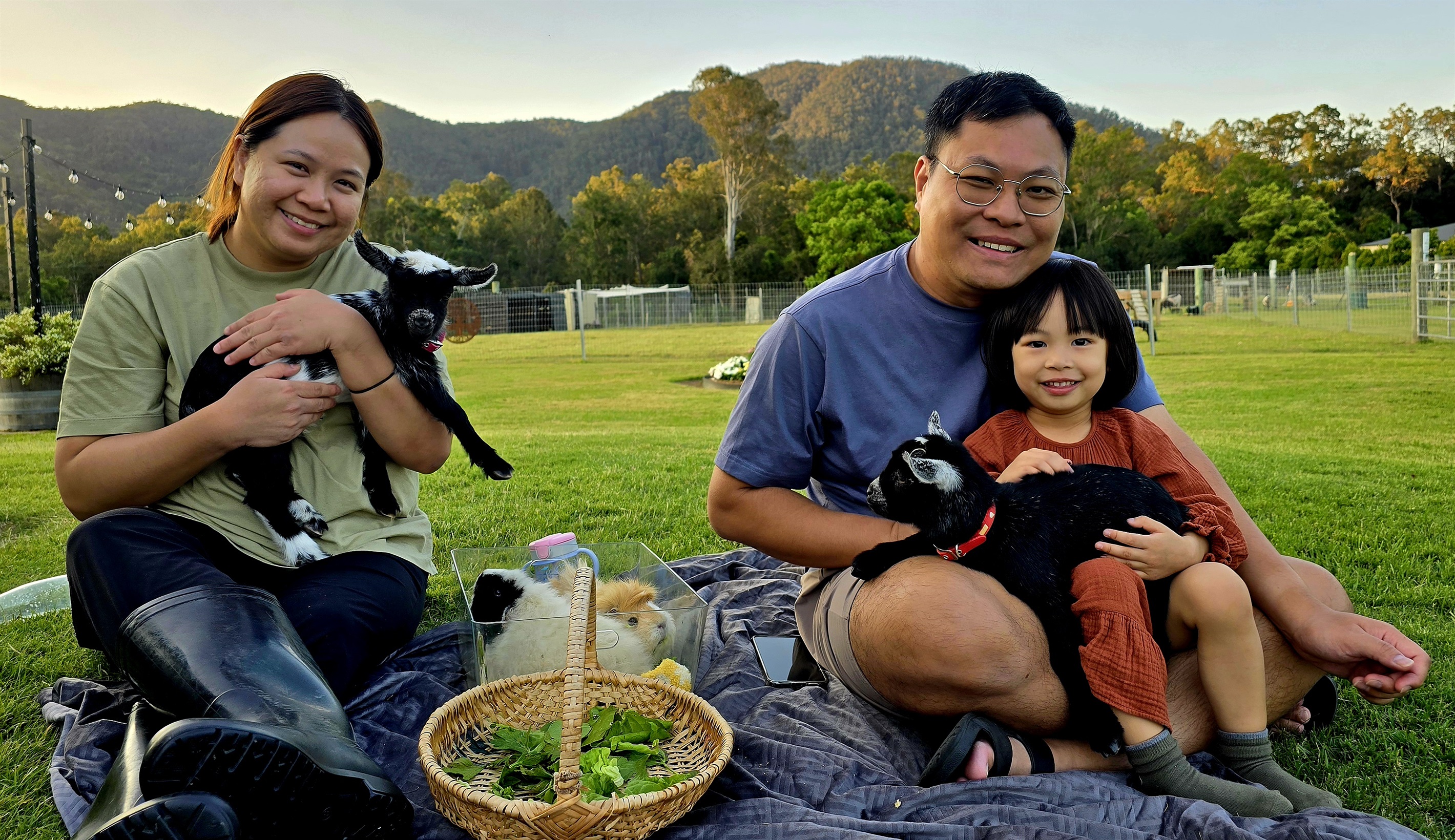 Fig Tree Farm Stay - Interactive Farm Stay Near Brisbane