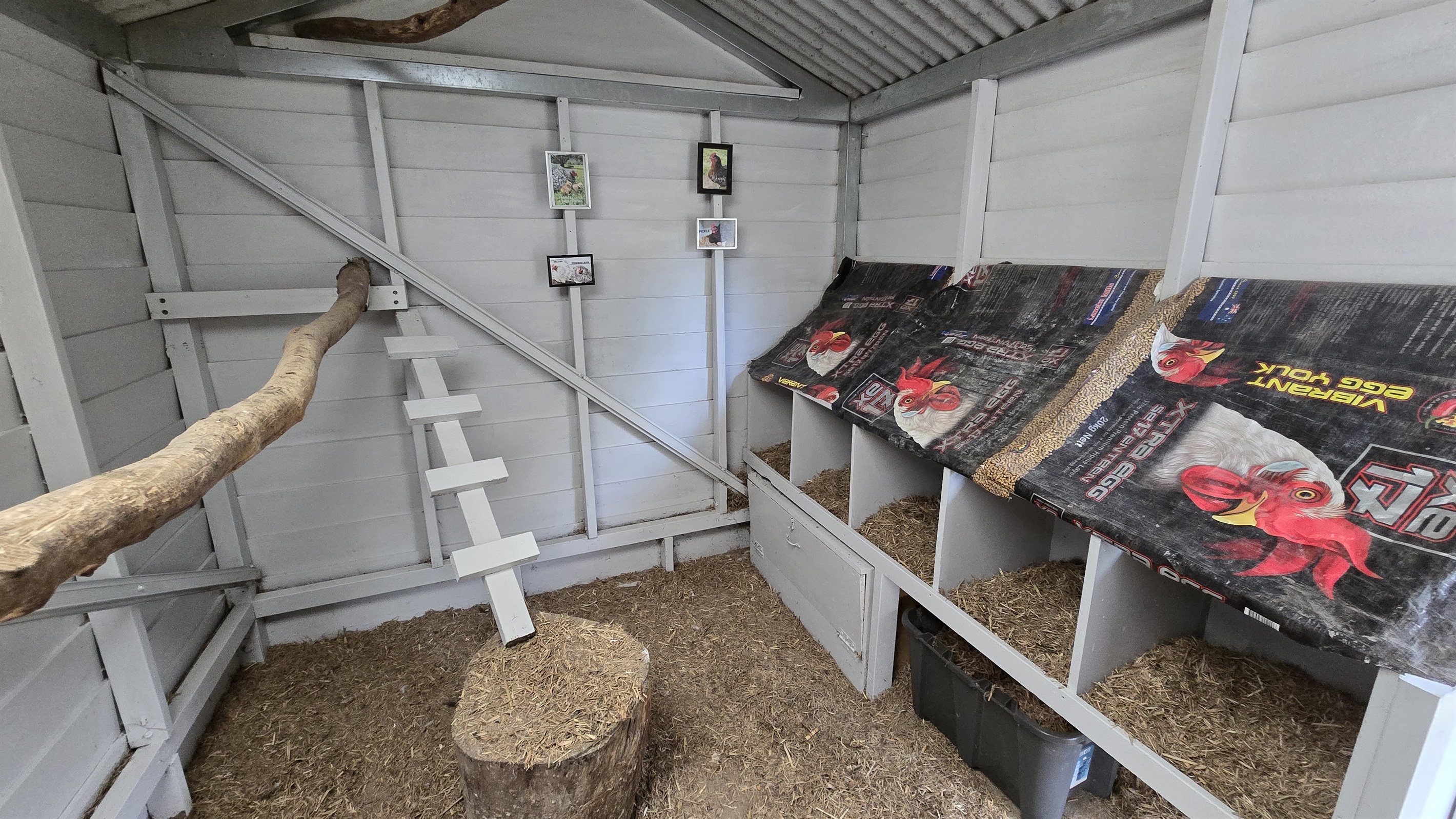 Fig Tree Farm Stay - Interactive Farm Stay Near Brisbane