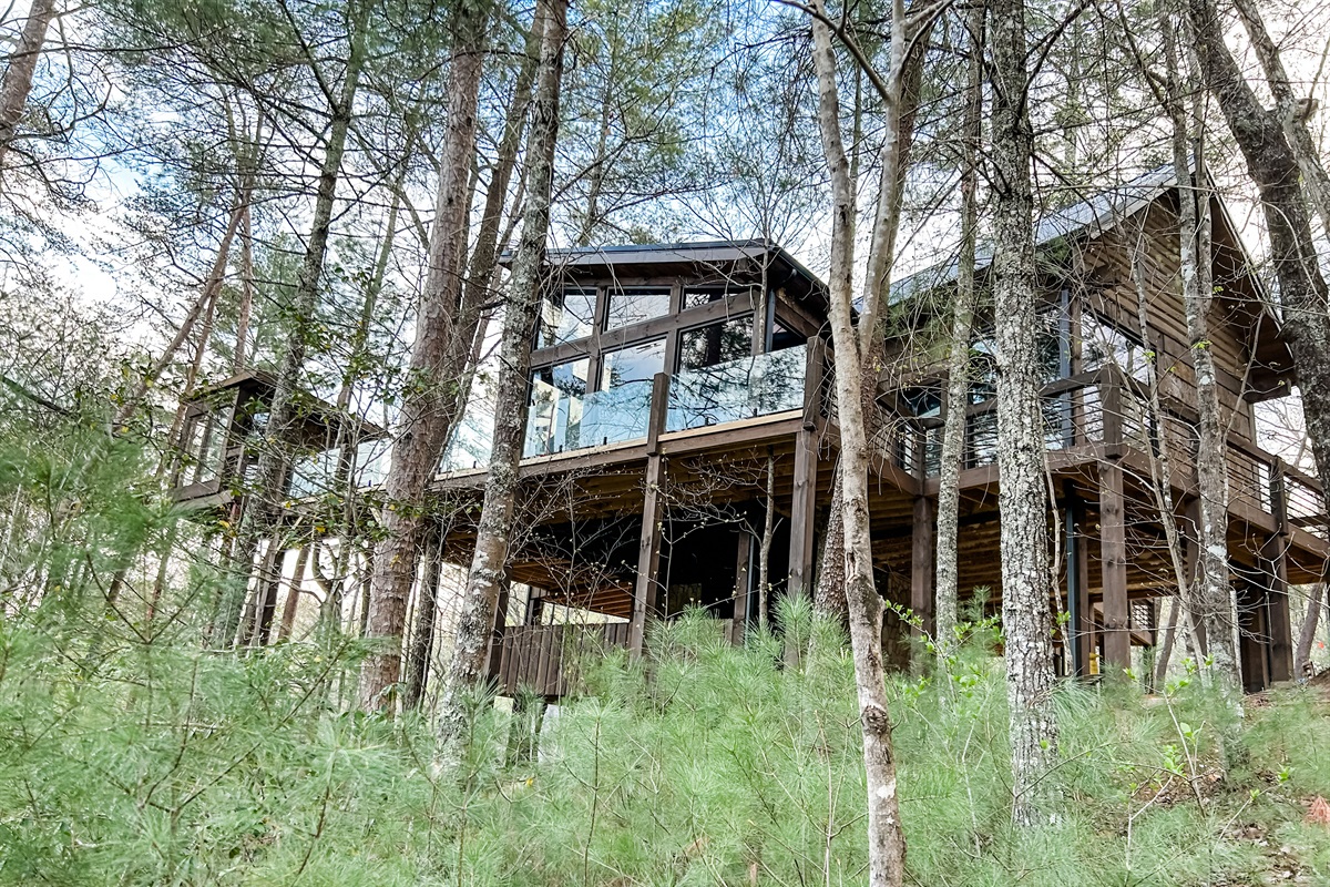 Hidden Lake Lookout - Clements Family Vacation Rentals