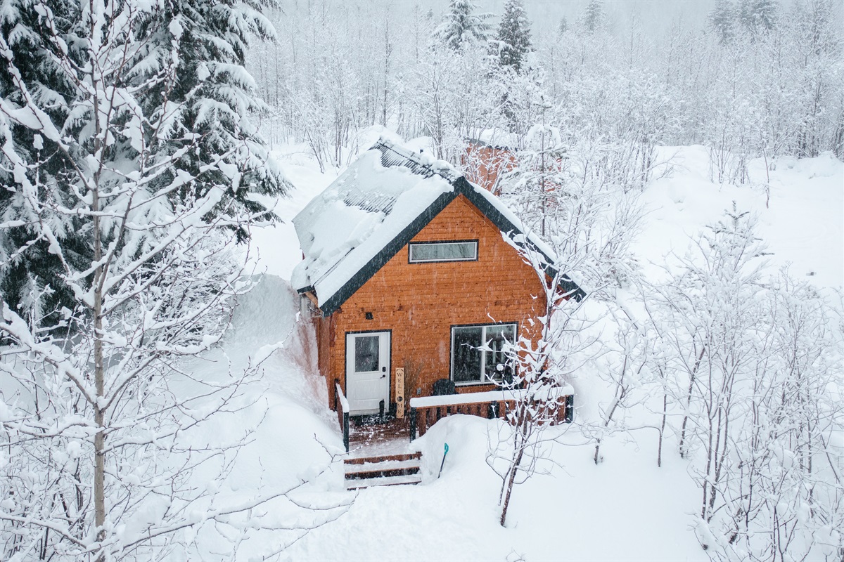 Tundra Lodge: Revelstoke's Cozy Modern Mountain Cabin - Alpha Mountain ...