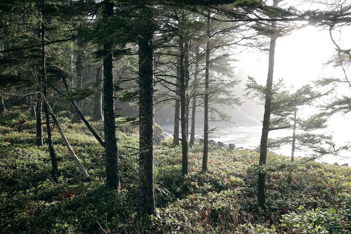 Oceans Edge Beachfront Home | Tofino , BC