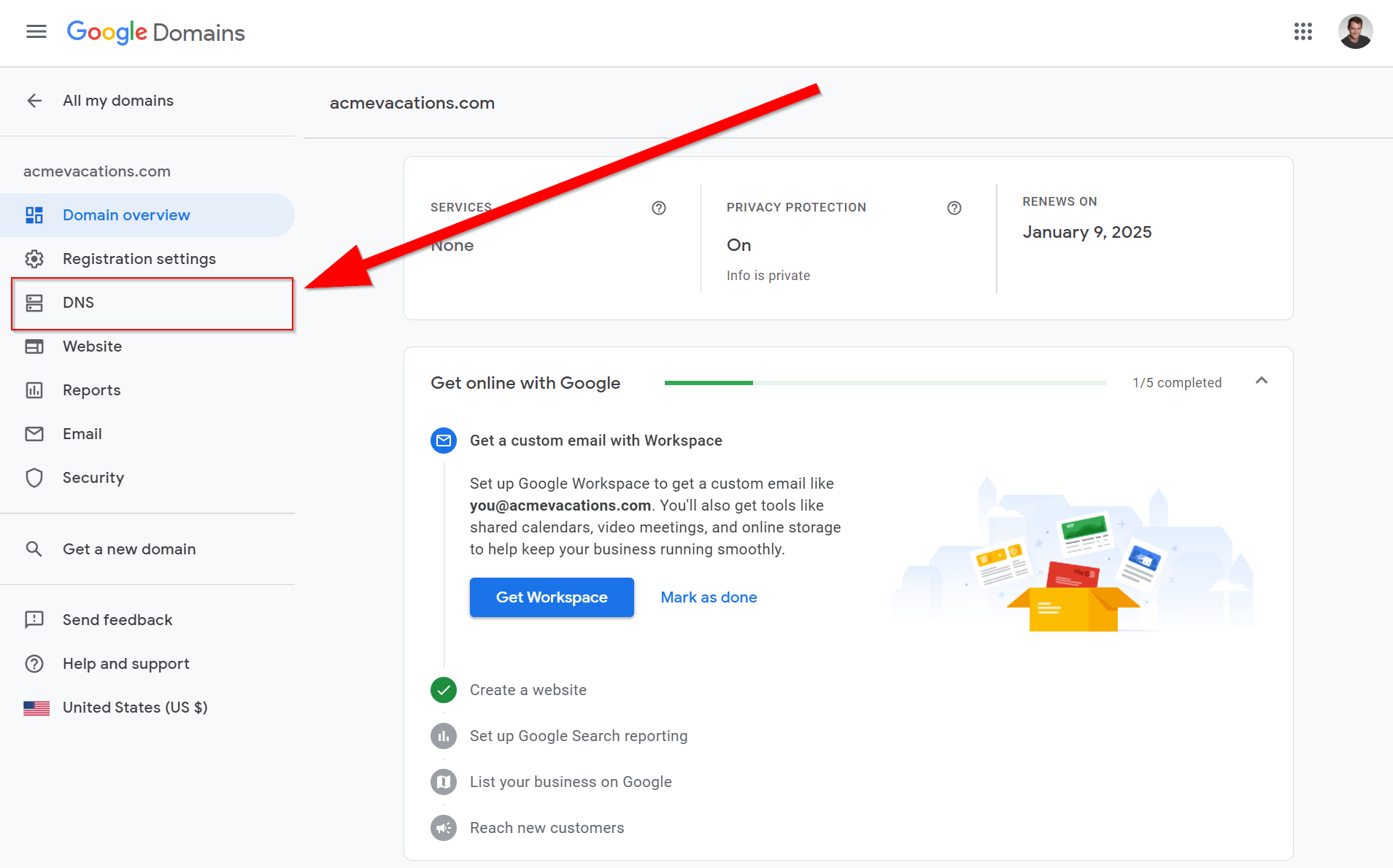 Setting DNS Records For Google Domains Hosted Websites Websites 